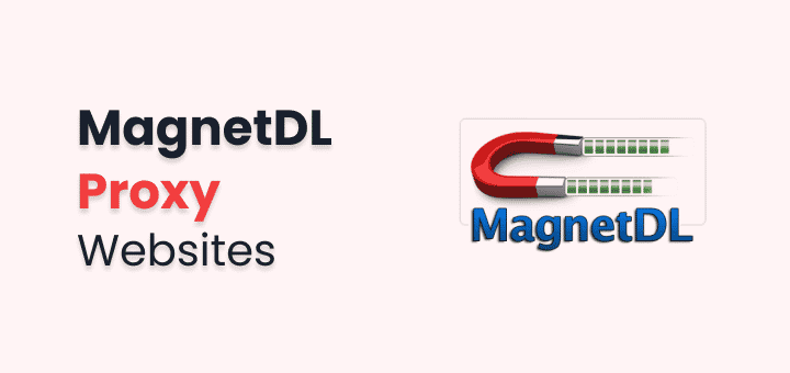 MagnetDL Proxy List - alternatives [Updated 2025] | The Tech Basket